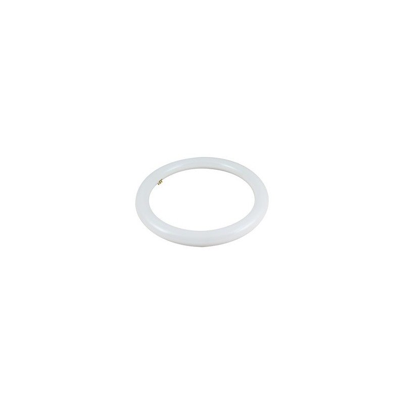 Tubo LED circular T9. 20W. DIA 6500K